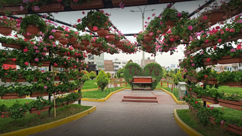 7 curiosidades sobre el parque de topiarios animales de Tacna (Perú ...